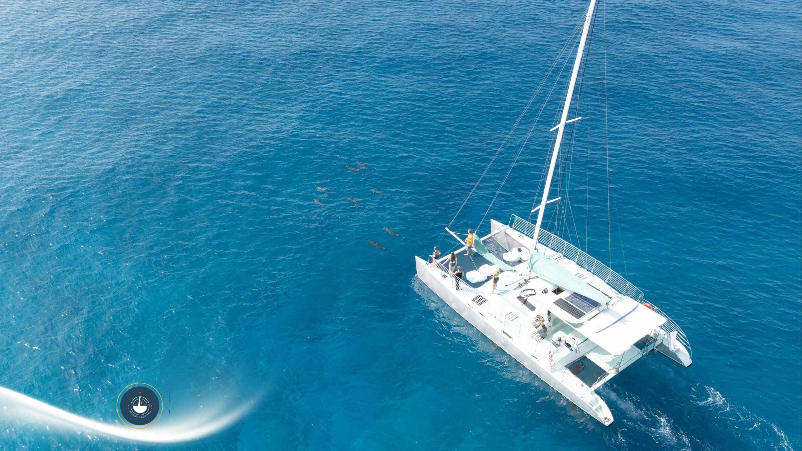 Diferencia entre yate y lancha: 3 tipos de barcos en Cartagena